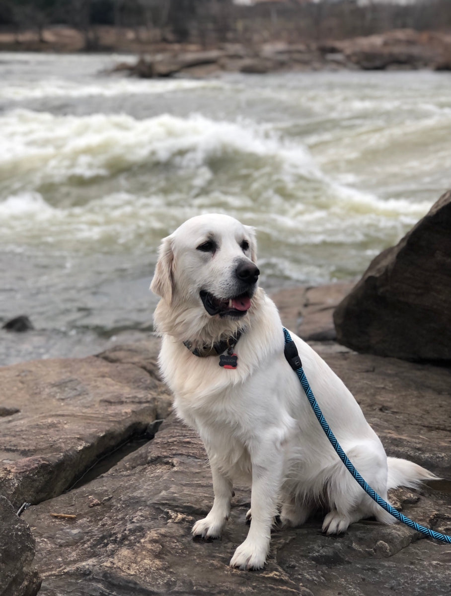 There has been a Breach! – Amanda Ray Newman